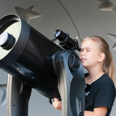 Kurse | Junior Uni Daun